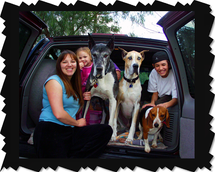 Gentle Giants Rescue and Adoptions